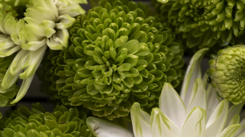 Exploring Patterns in Nature: A Mathematician's Perspective